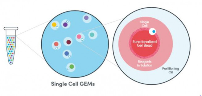 Chromium Controller - 10x GENOMICS | GeneTiCA
