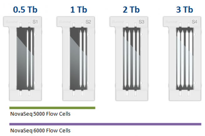 NovaSeq - Illumina | GeneTiCA